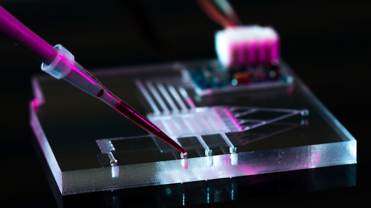 Engineering Course Promotes Biomedical Solutions to Health Equity ...